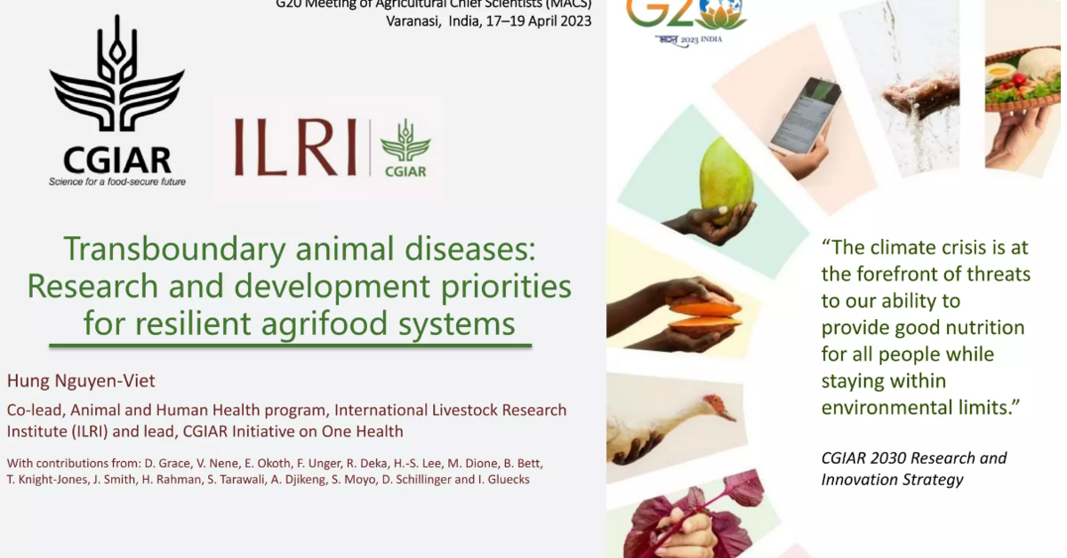 Transboundary animal diseases: Research and development priorities for resilient agrifood systems